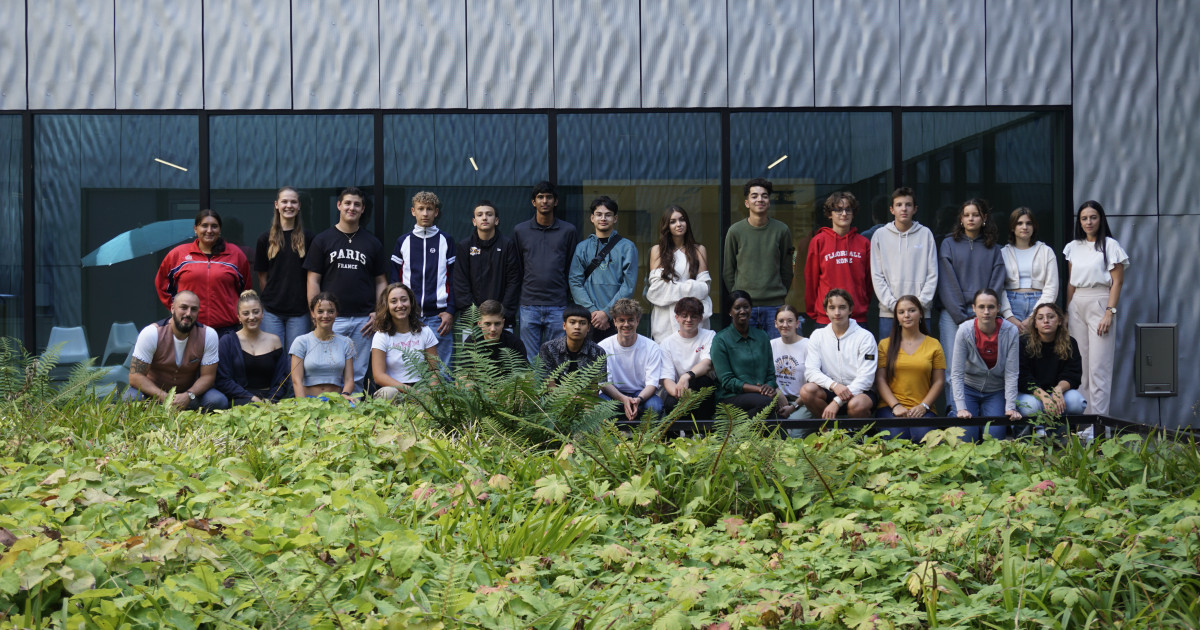 Gestartet: 26 Lernende starten durch, 5 Statements berichten | ZFV ...